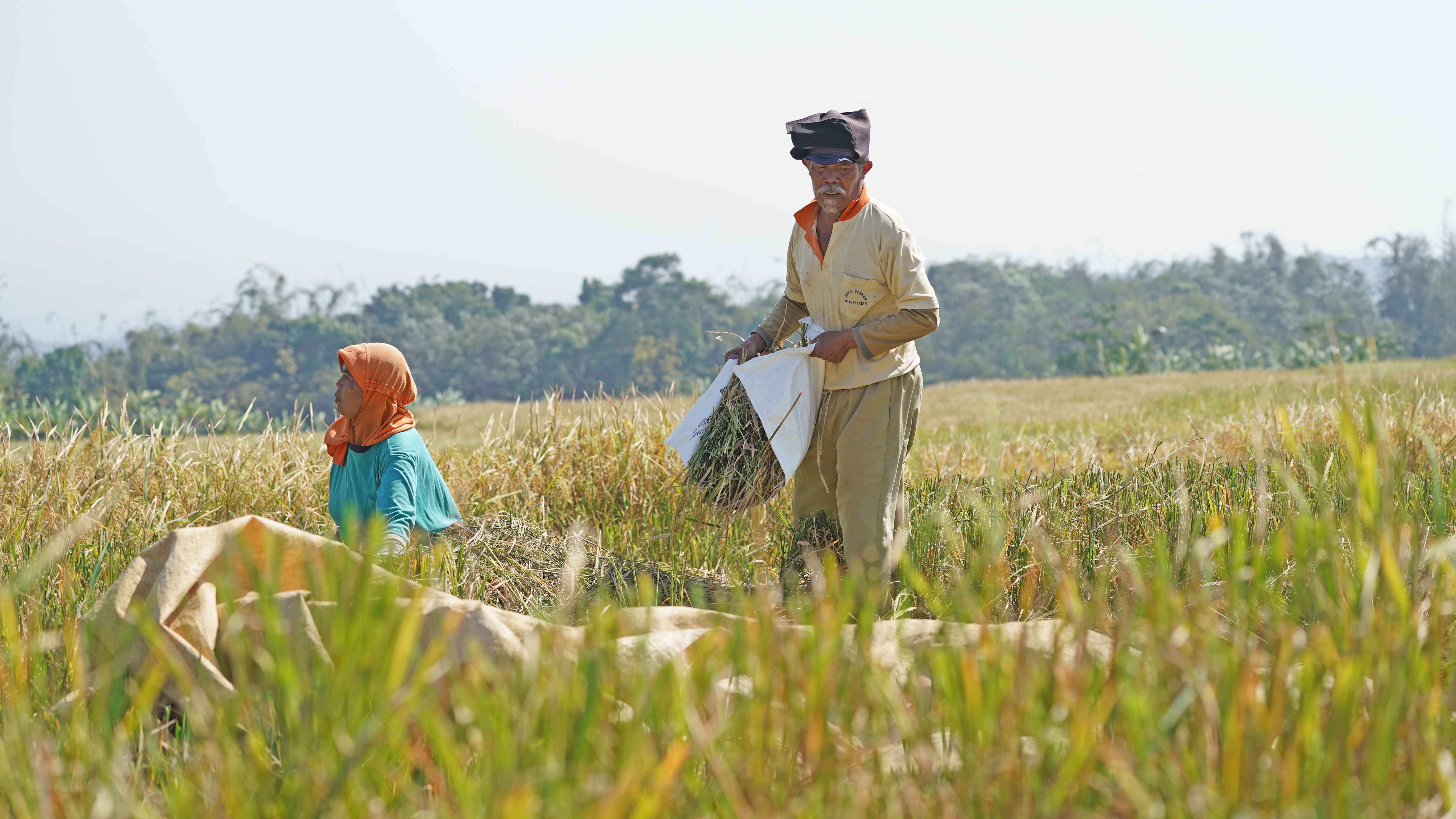 Sensus Pertanian 2023 - Badan Pusat Statistik